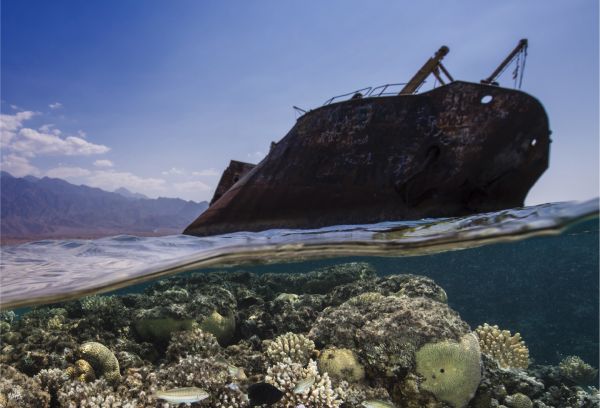 NEOM’s Brine Processing Plant